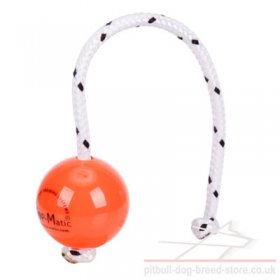 Staffy Dog Toys for Sale: Best Balls and Bite Tugs!